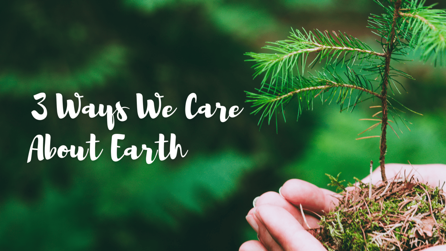 3 Ways We Care About Earth